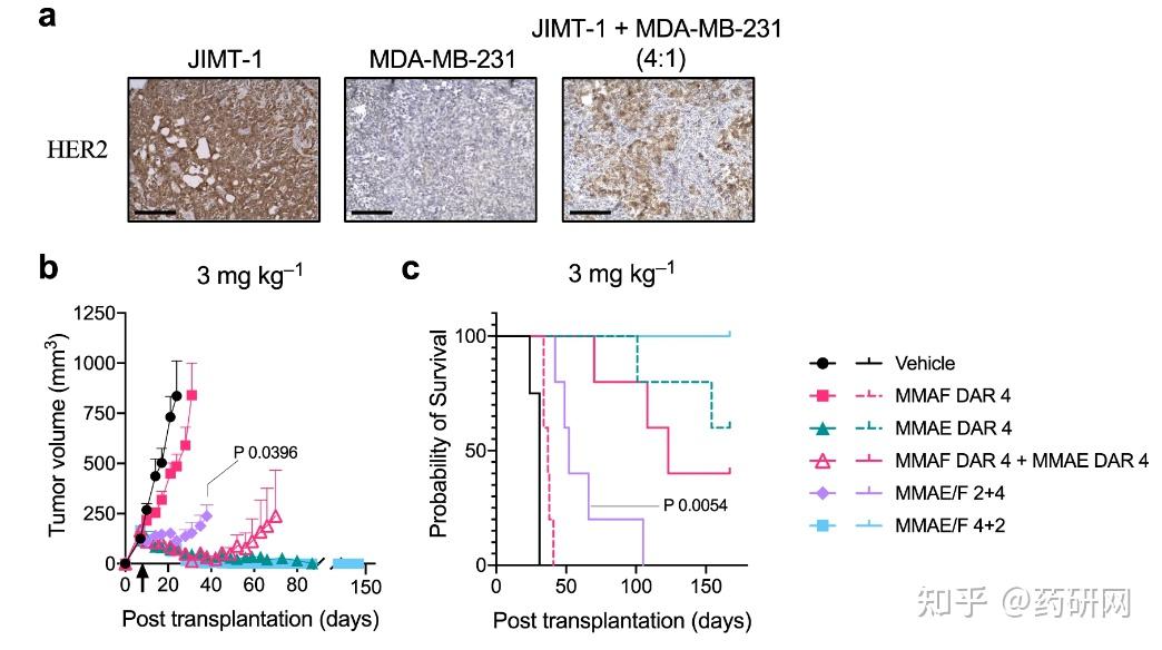 双载荷ADC的发展 - 知乎