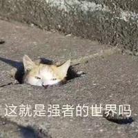 TMSpeech 新版发布了！全新界面！全新功能！ - 知乎