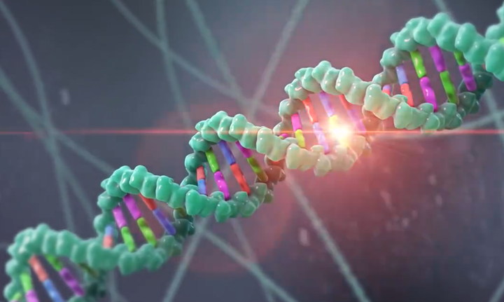 AAV基因疗法Upstaza™在英国获批上市 - 知乎