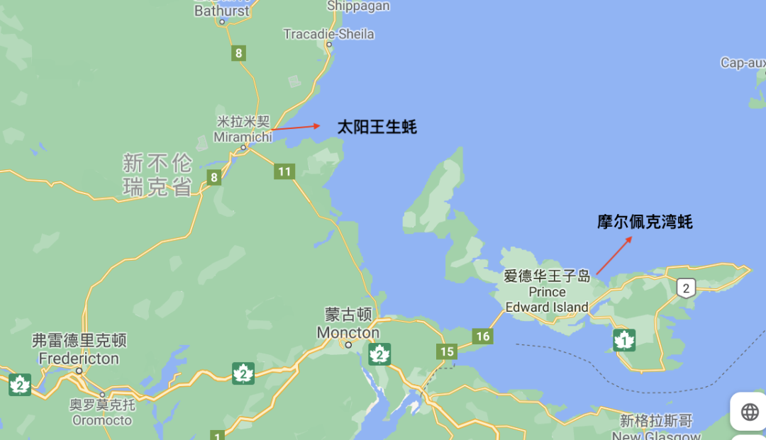 吃生蚝也讲“风土”，一文带你吃遍全世界最好的生蚝 - 知乎