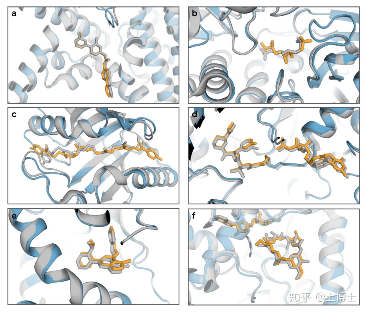 【报告原文】最新研发AlphaFold模型的性能和结构覆盖率（2023-10-31） - 知乎