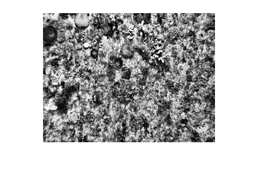 直方图相关方法整理 - 知乎