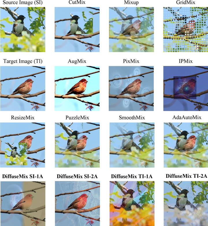 CVPR 2024 | 涨点神器！DiffuseMix：使用扩散模型进行标签保留数据增强 - 知乎