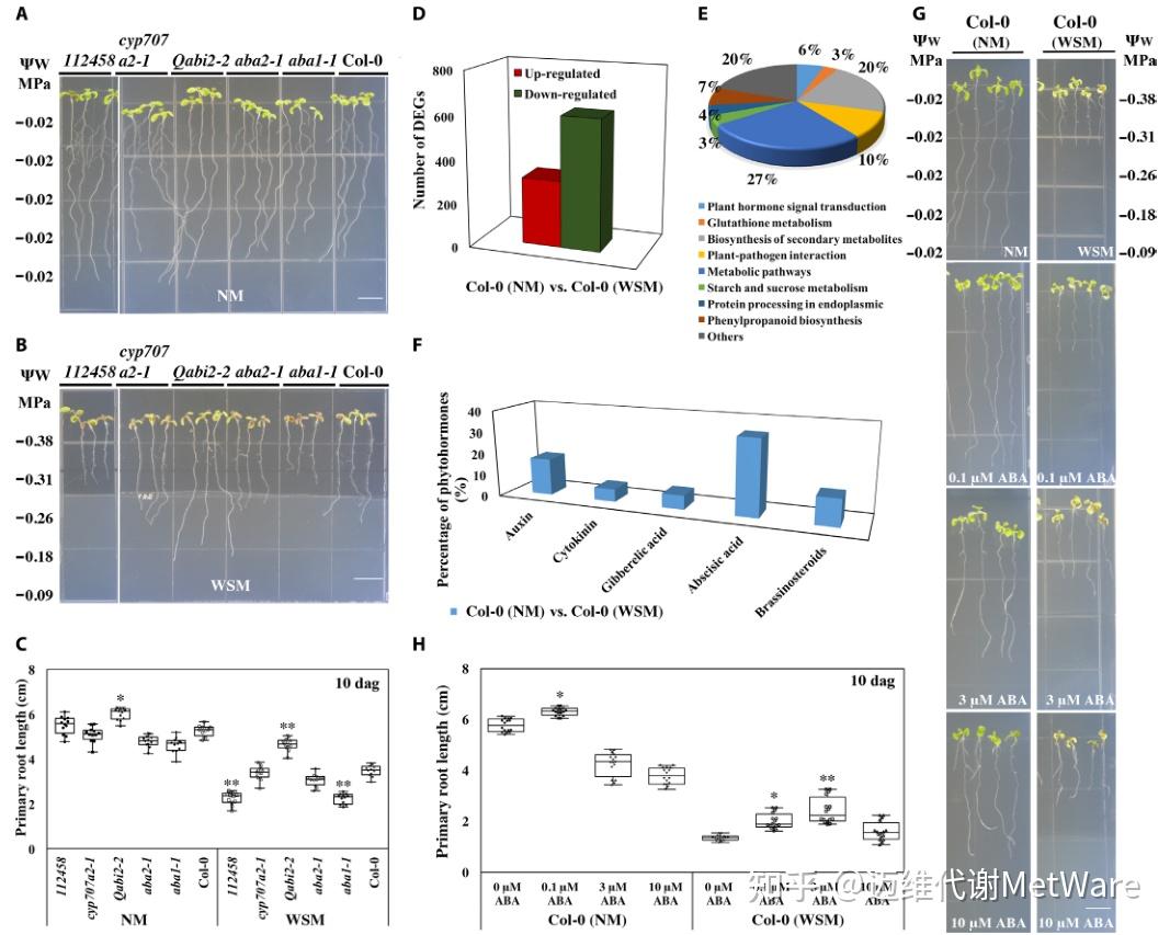 项目文章 | IF=13!福建农林大学许卫锋团队ABA研究成果见刊Sci. Adv. - 知乎
