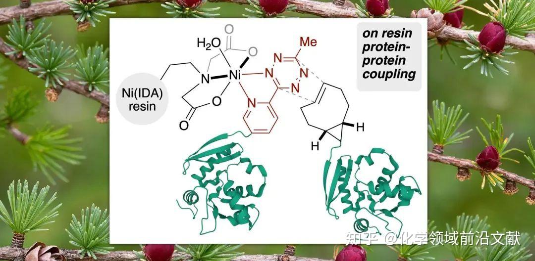 Scinto&Fox组Angew：四嗪亲和生物正交化学标签ABC-Tag及其应用 - 知乎
