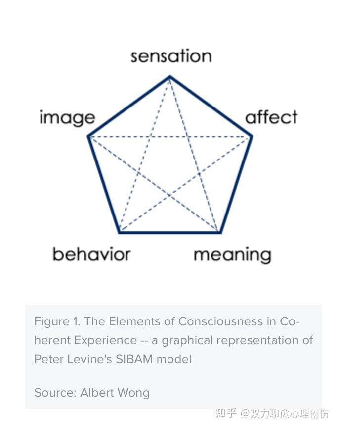 体感疗愈：揭秘SIBAM模型处理心理创伤的魔力 - 知乎
