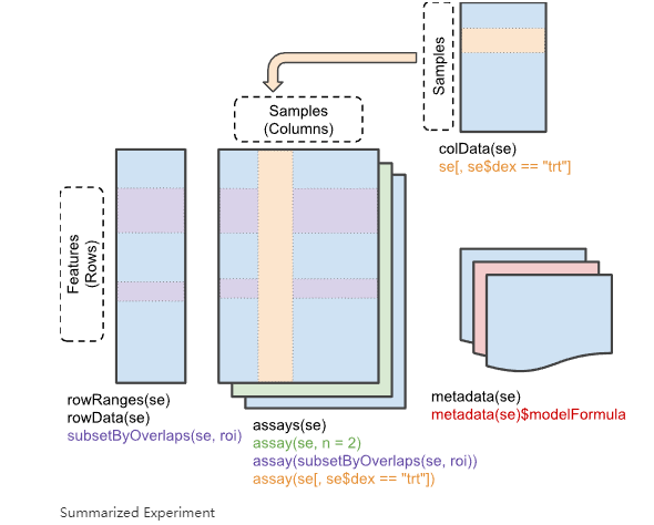 新版TCGAbiolinks包学习02：提取新版TCGA表达矩阵（tpm/count/fpkm） - 知乎