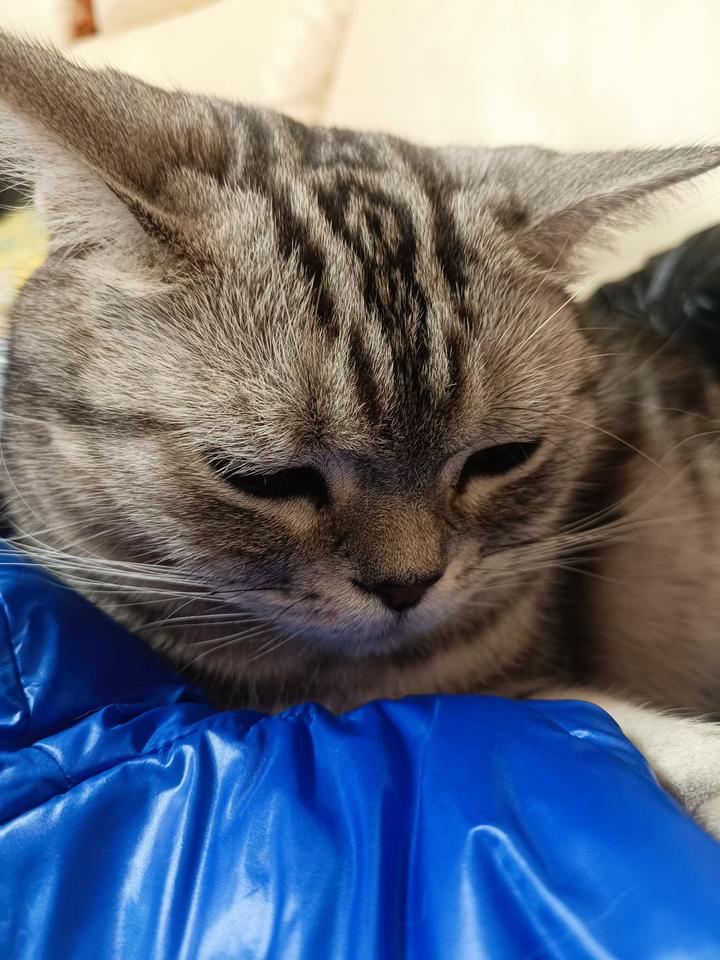 我用deepseek实现text2sql （使用deepseek生成白盒测试） - 知乎