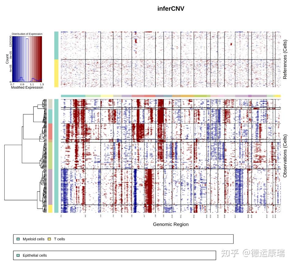 聚焦生信 | 肿瘤恶性细胞鉴定-inferCNV原理及应用全面教程-附代码 - 知乎