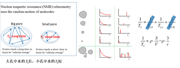 《Advanced Functional Porous Materials》最新综述： MRI等三维成像技术在大孔材料中的应用 - 知乎