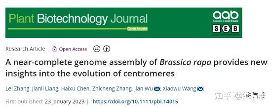T2T基因组｜大白菜基因组 - 知乎