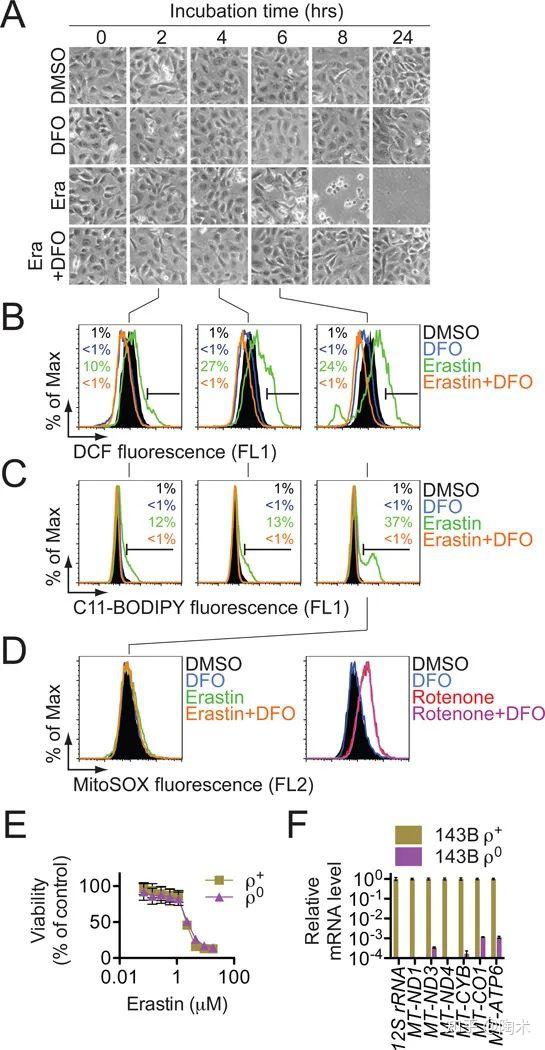 TargetMol明星分子——Ferrostatin-1& Deferoxamine Mesylate - 知乎
