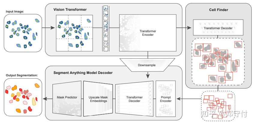 Cellpose-SAM论文自读 - 知乎