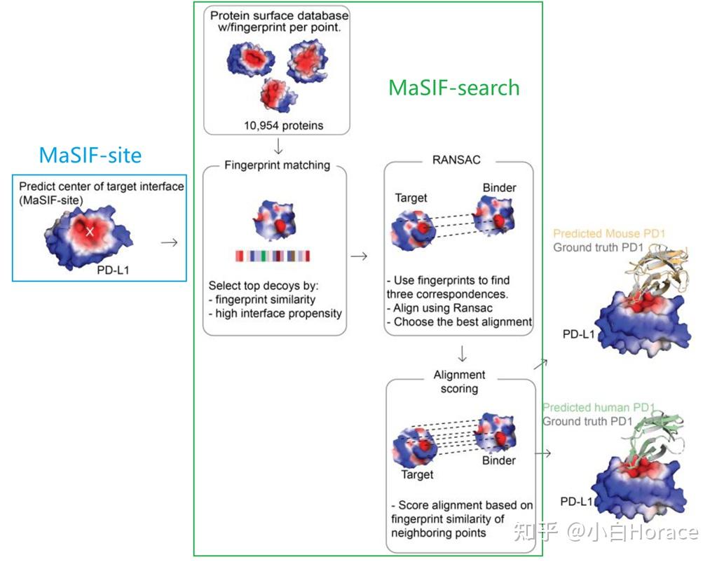 【AIDD系列】MaSIF系列论文详解，揭开蛋白表面指纹的面纱 - 知乎