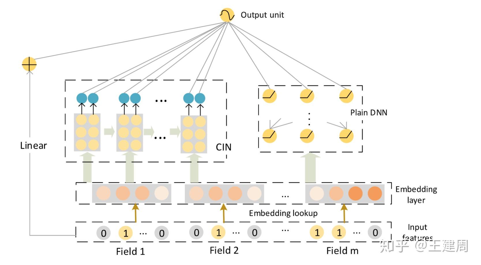 Wide&Deep模型讲解（附代码） - 知乎