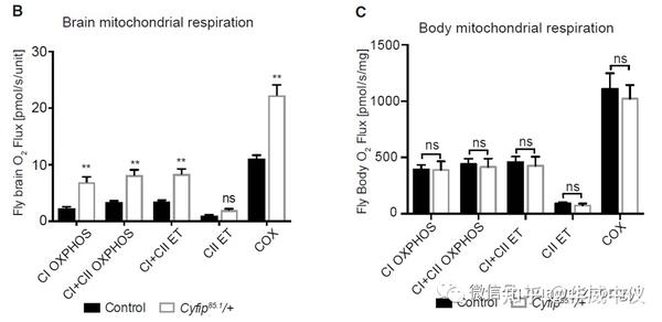 Cell│线粒体能量代谢异常在社交障碍类神经疾病中的研究发现 - 知乎