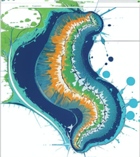 VS Code引入ECharts - 知乎