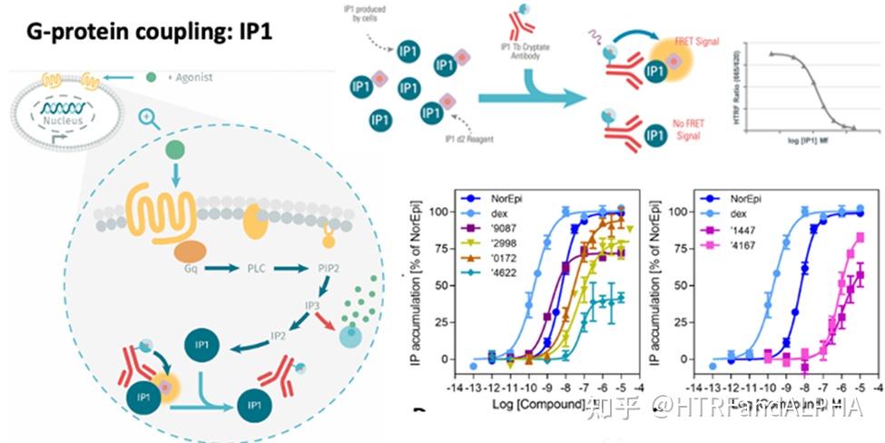 IP-One Gq kit，你值得拥有！ - 知乎