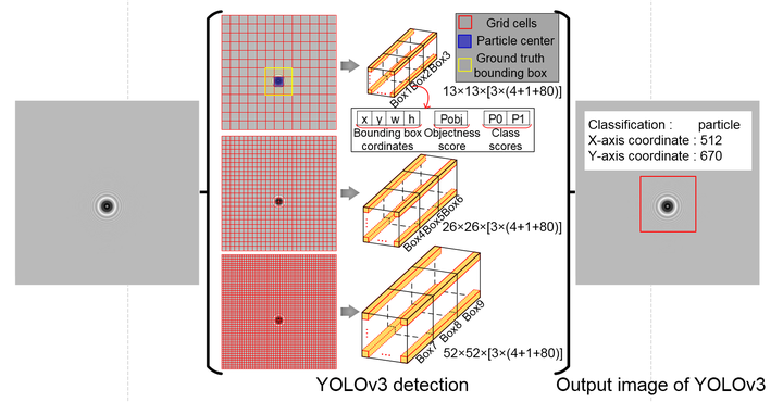 一文搞懂YOLOv3 - 知乎