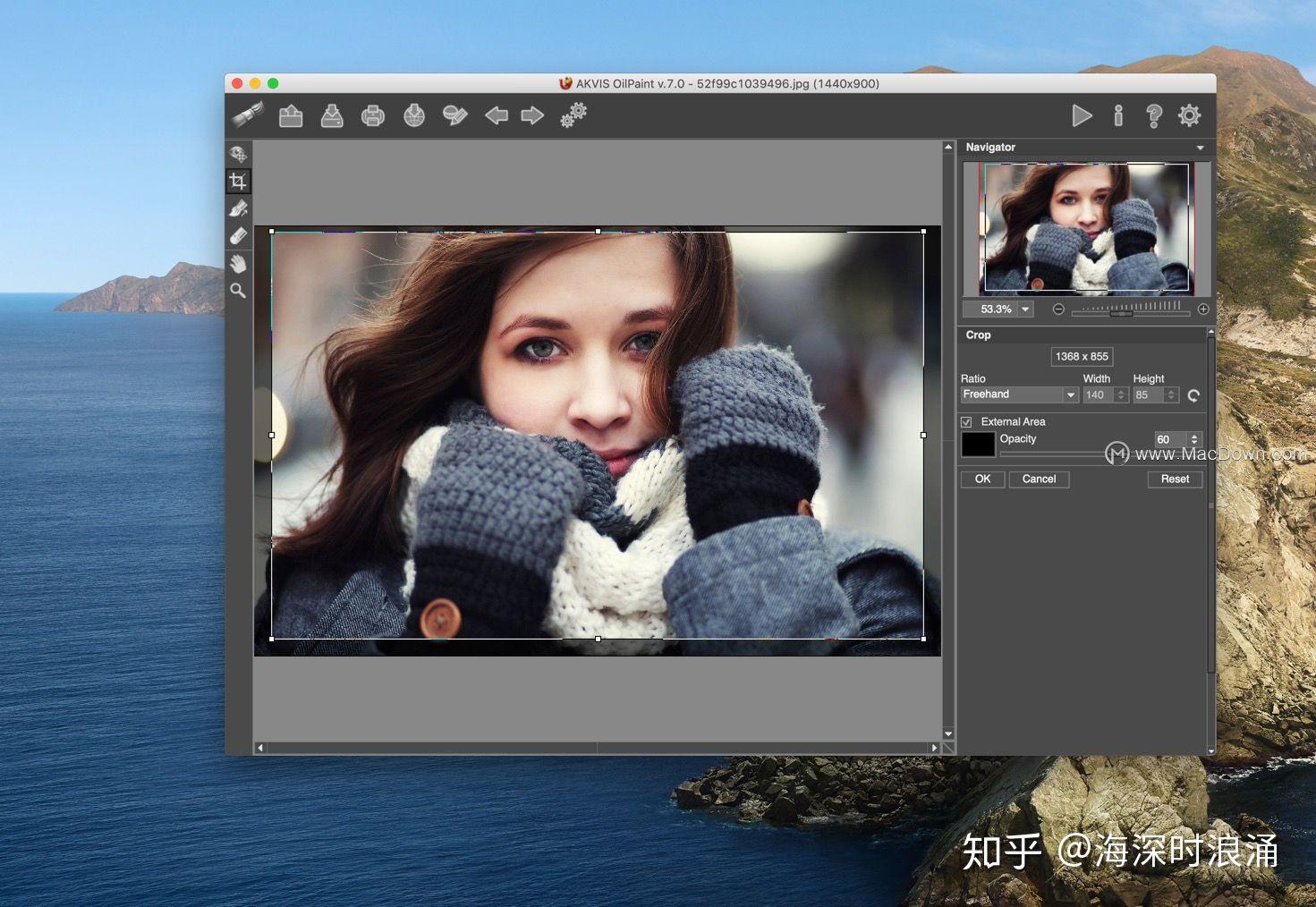 AKVIS OilPaint for Mac(油画制作工具) - 知乎