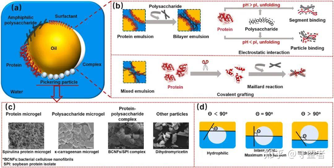 Food Hydrocolloids综述：油凝胶/乳液凝胶作为肉制品中新型饱和脂肪替代品 - 知乎