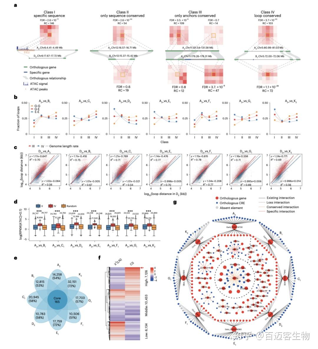 Nature Genetics一作直播|棉花种质演化的基因组结构特征揭秘 - 知乎