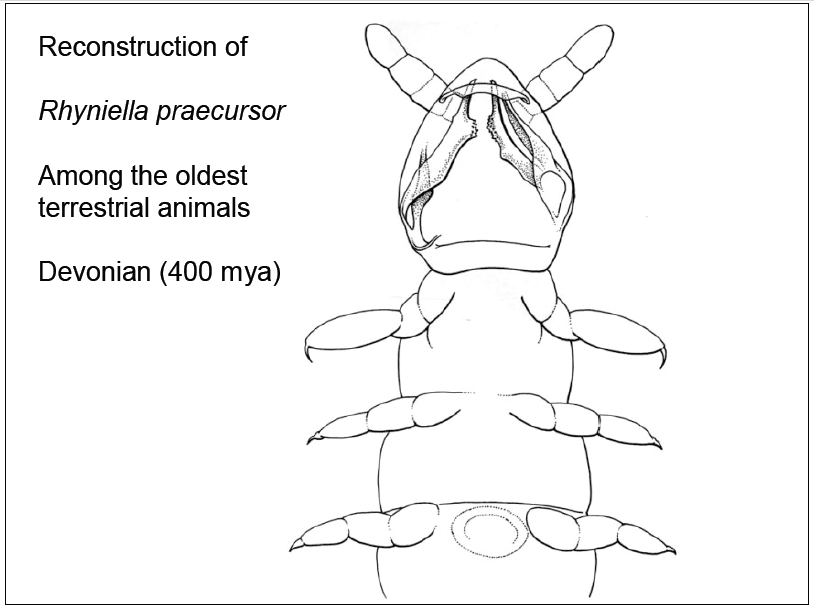【地球演义】六足传奇1：起源之谜 - 知乎