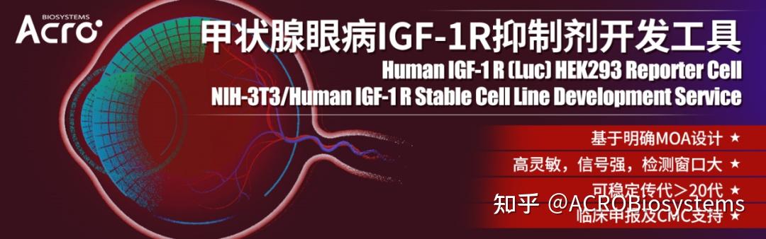 【改善眼凸】——IGF-1R抑制剂：甲状腺眼病（TED）显著缓解 - 知乎