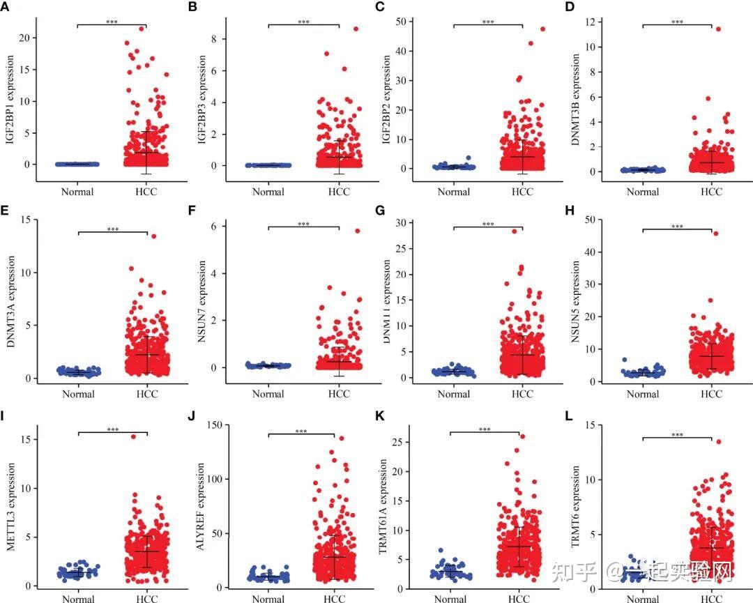 还在做m6A？一起来看看m5C和m1A吧！ - 知乎
