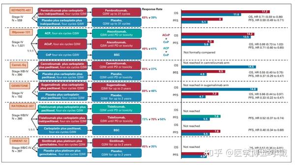 非小细胞肺癌一线免疫治疗怎么选最好？ - 知乎