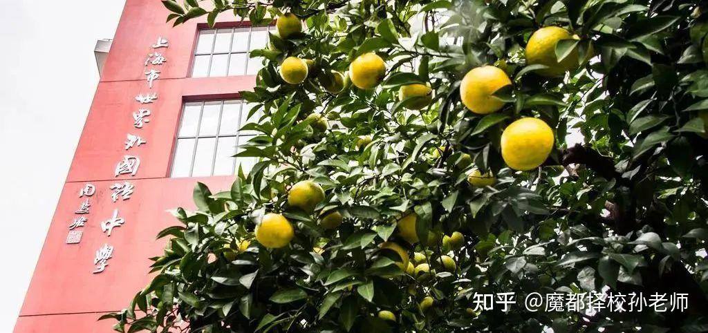 6月秋招“井喷”！世外、WLSA、领科、光剑…38所学校火爆招生中！ - 知乎