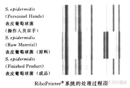 API细菌鉴定系统-微生物快速鉴定系统的操作 - 知乎