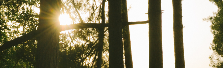 质量管理体系：ISO管理体系的高阶架构 - 知乎