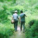 使用Visual Keras可视化网络结构图_Visualkeras - 知乎