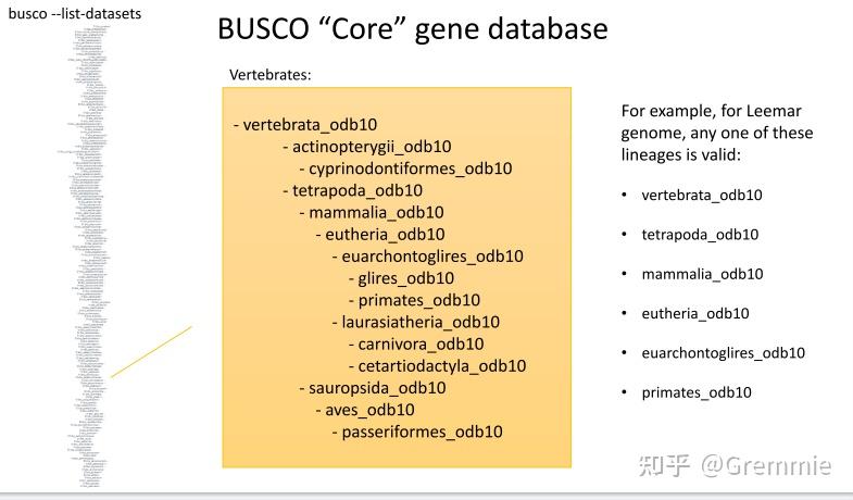 从头全基因组组装De novo whole genome assembly - 知乎