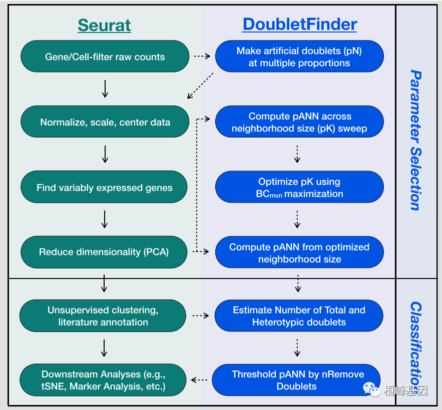 SCS【35】单细胞转录组之去除双细胞 (DoubletFinder) - 知乎