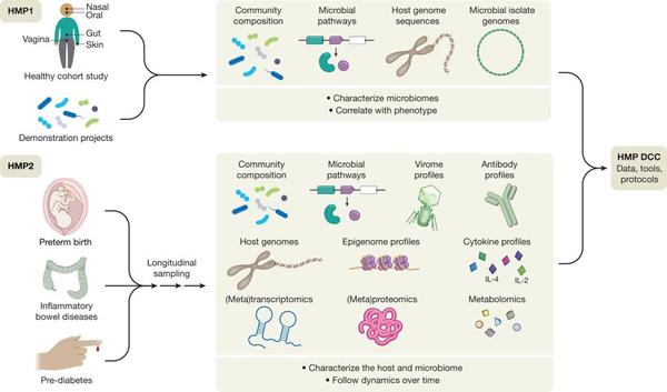 Nature重磅：全面解读人类微生物组计划第二阶段，微生物在早产、炎症性肠病、Ⅱ型糖尿病中的作用 - 知乎