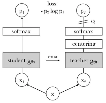 DINO：Self-Supervised Vision Transformer的新特性 - 知乎