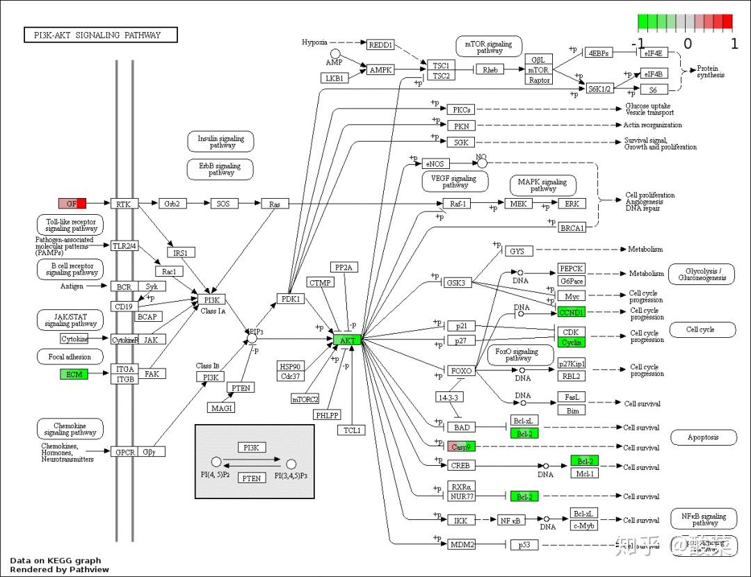 如何快速做出高质量KEGG通路图？ - 知乎