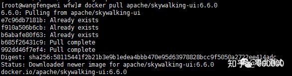 Docker部署SkyWalking+ElasticSearch+Agent - 知乎