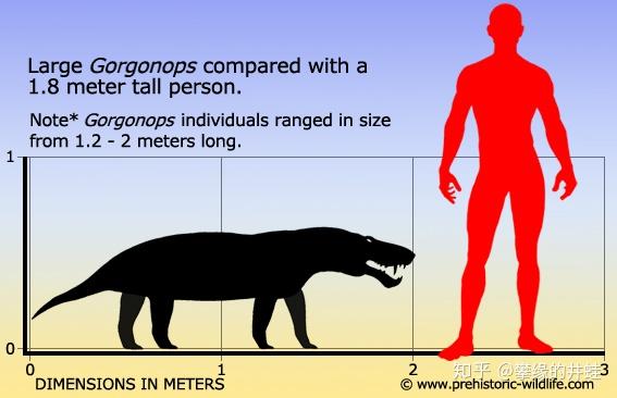 【地球演义】百兽图6：惊饕餮 - 知乎