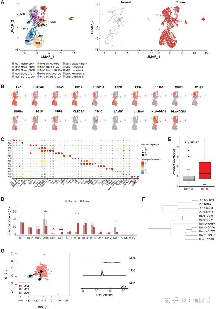 单细胞景观揭示胃癌肿瘤微环境中的活性细胞亚型及其相互作用 - 知乎