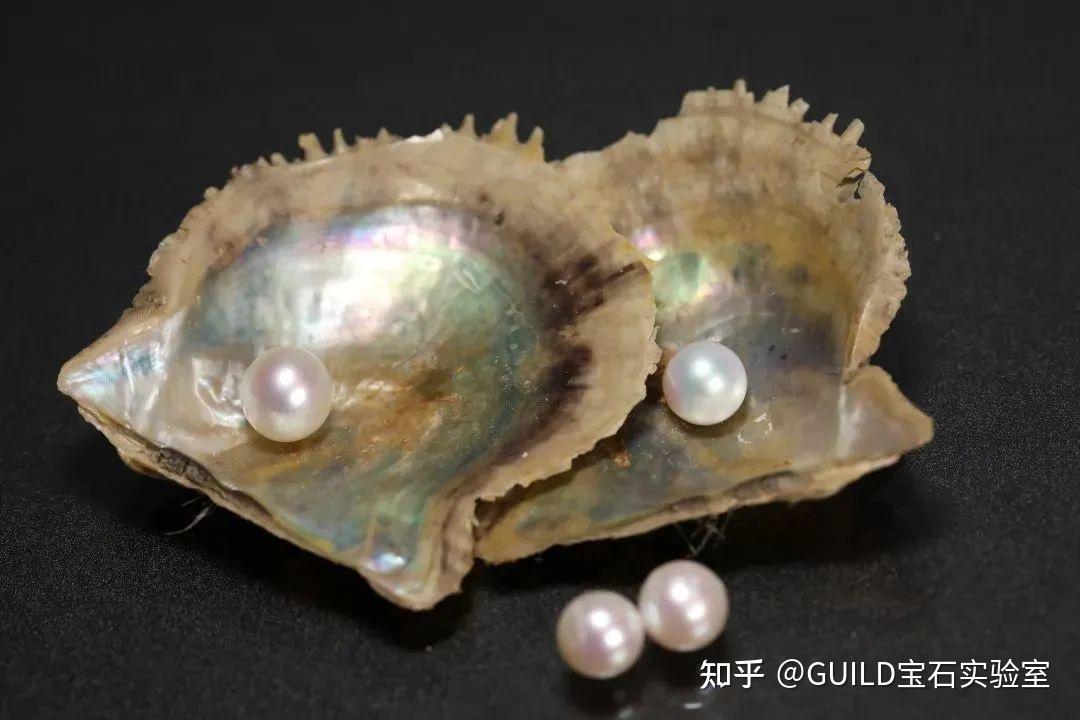 天然黄色与染色Akoya珍珠的鉴别特征 - 知乎