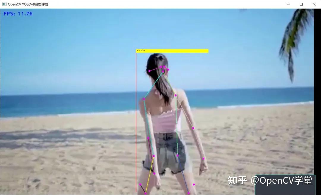 OpenCV三行代码部署YOLOv8全系模型 - 知乎