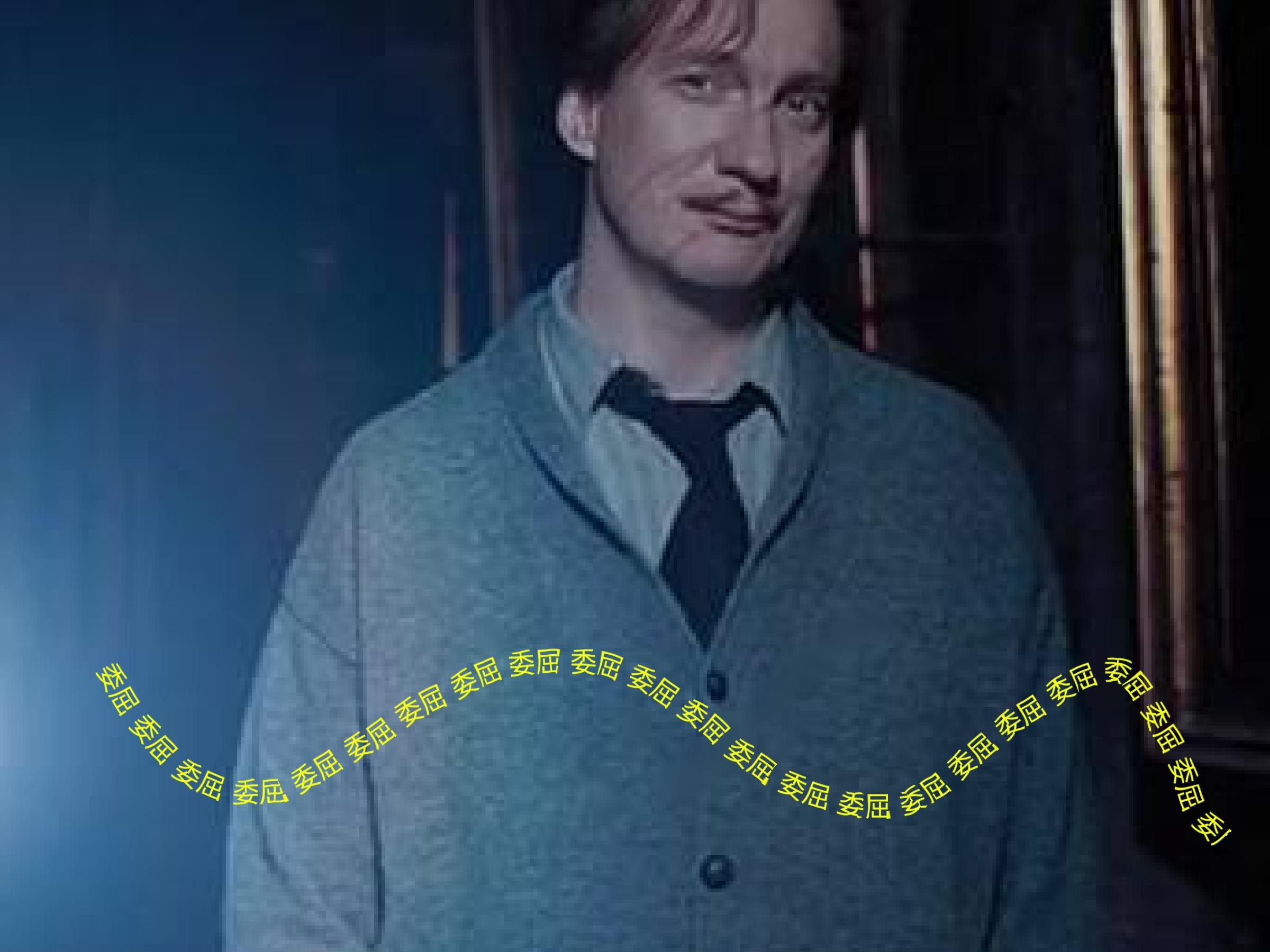 《哈利·波特》中斯内普到底是一个怎样的人？ - 知乎