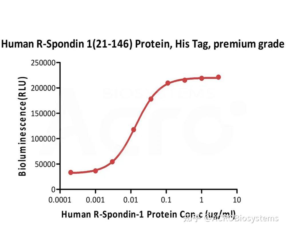 Wnt-3a/Noggin/EGF/RSPO1--类器官培养体系“四巨头” - 知乎