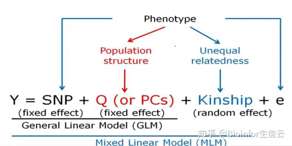 重测序分析（14）全基因组关联分析GWAS介绍 - 知乎