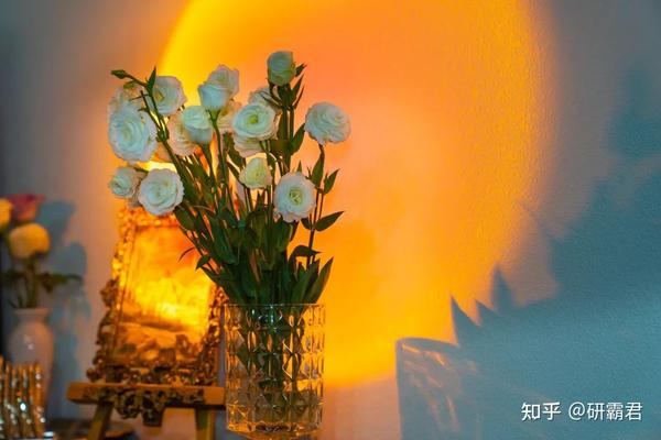 人间清醒爱情观:告诉你什么才是恋爱的真相 知乎