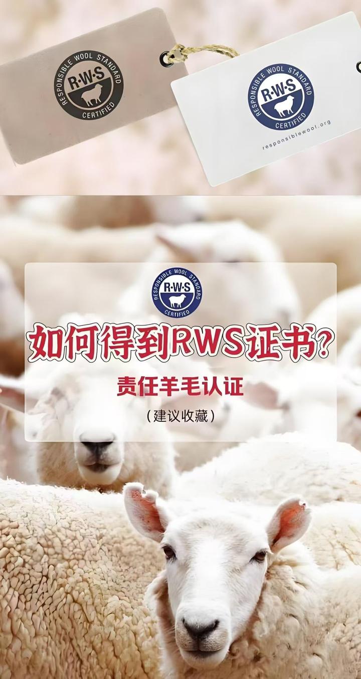 RWS认证标准！ - 知乎