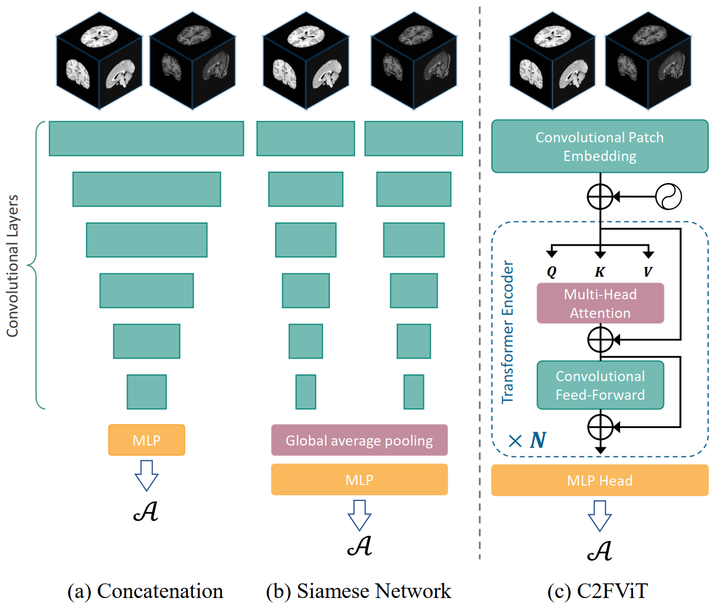 CVPR 2022 | 港科大提出C2FViT：使用粗到精的视觉Transformer的仿射医学图像配准 - 知乎